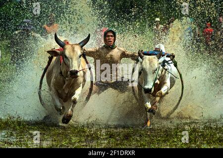 --File--In this undated photo, a jockey holds on to the tails of the ...