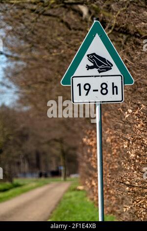 Toad warning sign on a country road, Slaidburn UK Stock Photo - Alamy
