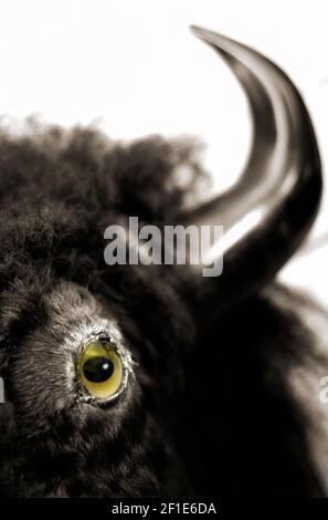 stuffed cow head Stock Photo - Alamy