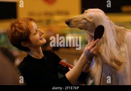 CRUFTS DOG SHOW AT BIRMINHAM NEC Stock Photo - Alamy