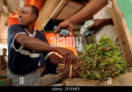 KHAT IS SOLD AND CHEWED IN THE MARKET PLACE IN HARGEISA,THE CAPITAL OF ...
