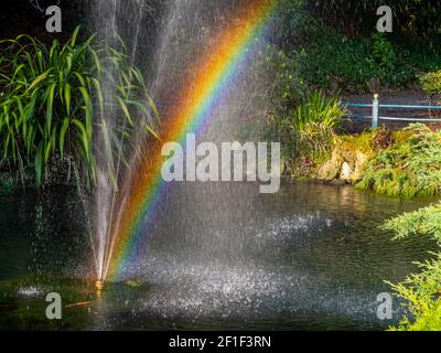 Rainbow caused by refraction of water droplets from an ornamental ...