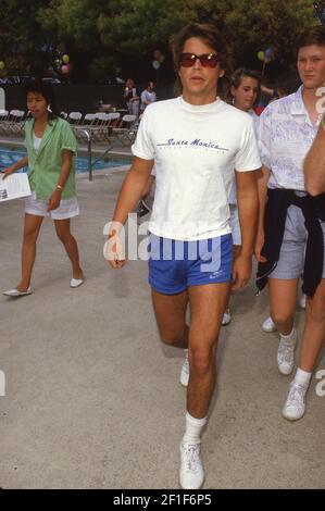 Rob Lowe 1985 Credit: Ralph Dominguez/MediaPunch Stock Photo - Alamy