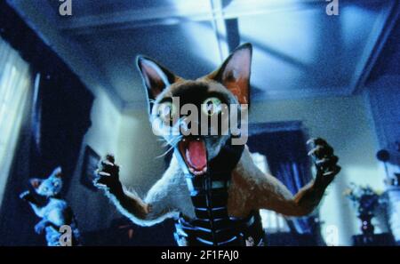 Cats & Dogs Scene Film: Cats & Dogs (2001) Director: Lawrence Guterman ...