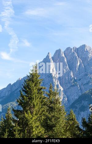 View of mountains through trees Stock Photo - Alamy