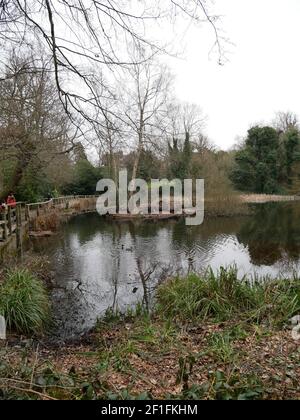 Hayes and Keston Commons, Kent, England Stock Photo - Alamy