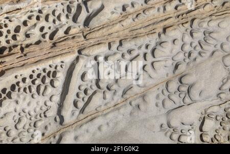 Close-up of tafoni formation, Salt Point State Park, California Stock ...