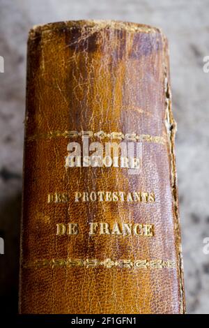 History of the french Protestants, France, 1874 Stock Photo - Alamy