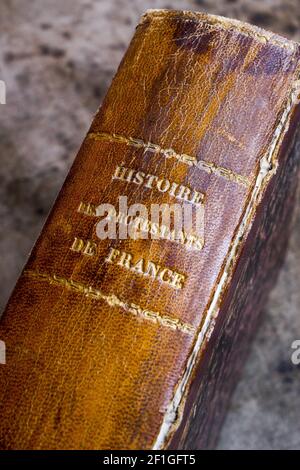 History of the french Protestants, France, 1874 Stock Photo - Alamy