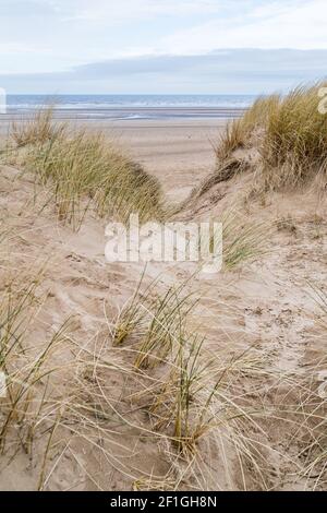 Irish Landscape image of dunes, beach and coast at Murlough Beach ...