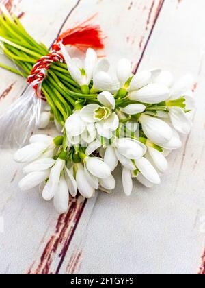 A beautiful view of snowdrops with red and white string, 1st of march ...