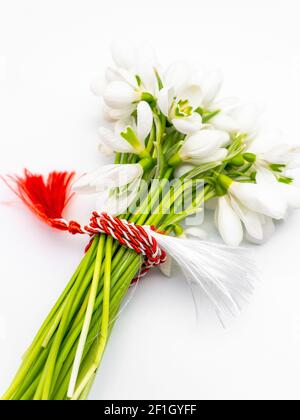 A beautiful view of snowdrops with red and white string, 1st of march ...