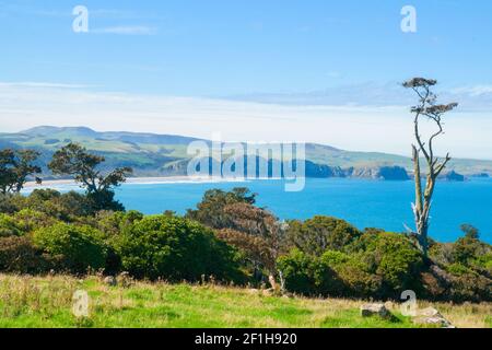 Tahakopa Bay, Catlins, Otago, south Island, New Zealand Stock Photo - Alamy