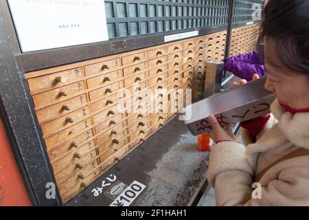 Woman drawing an Omikuji stick as part of Omikuji fortune telling at ...