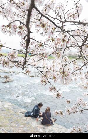 Cherry blossoms along the Katsura River and Togetsukyo Bridge in ...