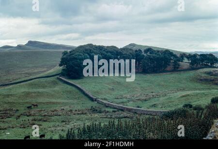 Knag Burn Gateway - one of the few gates through the wall that isn't ...