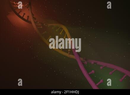 DNA molecule threads with peptide 3d illustration Stock Photo - Alamy