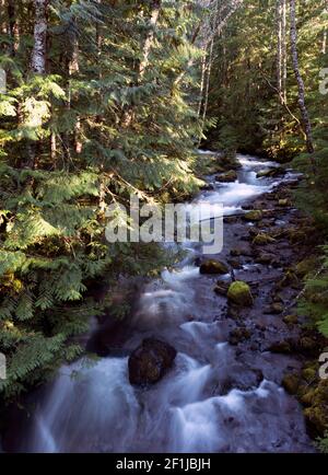 Zigzag River, Mt Hood National Forest, Oregon Stock Photo - Alamy