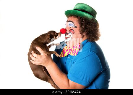 Halloween scary clown costume Stock Photo - Alamy