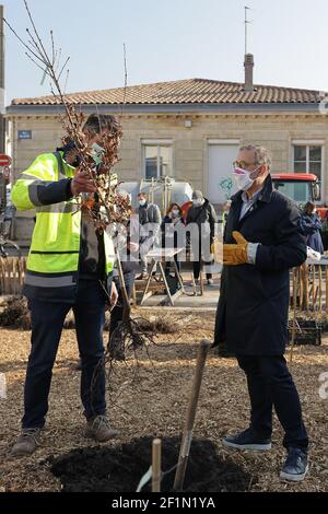 The mayor of Bordeaux, Pierre Hurmic, plants the city's first micro ...