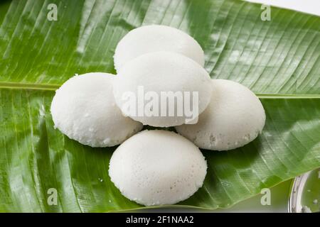 Indian idly served as a flower - Fresh steamed Indian Idly (Idli / rice ...