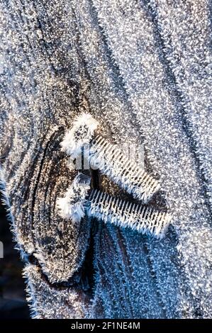 Frozen bolts on frosty wood in winter Stock Photo - Alamy
