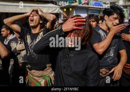 An Iraqi Shiite Muslim flagellates himself to show his grief during ...