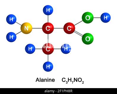 Alanine molecule structure 3d illustration with clipping path Stock ...