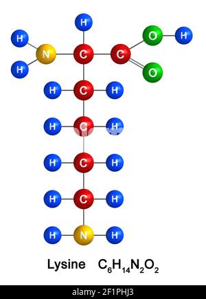 Lysine molecule structure 3d illustration with clipping path Stock ...