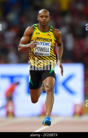 100 m (M), Asafa Powell during the IAAF World Challenge at the Mladost ...