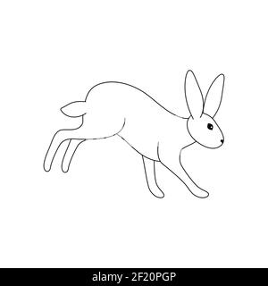 A set of rabbit jump phases. The hare sits, prepares to jump, jumps ...