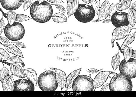 Apple branch design template. Hand drawn vector garden fruit ...