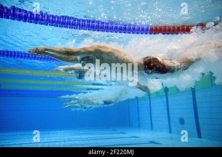 illustration natation during the French Swimming Championships 2026 ...