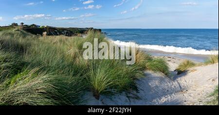 A beach access through marsh grass and sand dunes to a secluded sandy ...