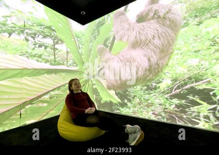 Emilia Kubinska from Carbrain Primary School views footage of a sloth ...