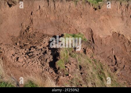 Filey Bay Cliff Edge - Grass And Mud Landslip - North East Coastal Land ...