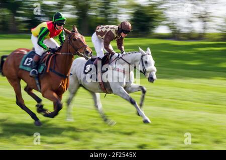 Point to Point Racing at Godstone Stock Photo - Alamy
