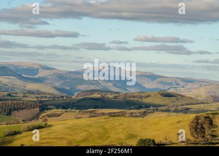 The Summit of the Welsh Mountain Aran Fawddwy from the Ridge near Drws ...