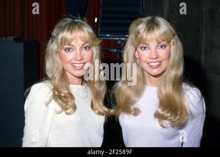 Candi Brough 1980 Credit: Ralph Dominguez/MediaPunch Stock Photo - Alamy