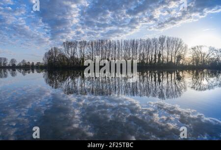 Ellerton Park, Yorkshire, England Stock Photo - Alamy