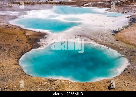 Hot spring, Norris Geyser Basin, Yellowstone National Park, Wyoming ...