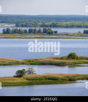 Dnipro river blossoming shores summer landscape, Kaniv water Reservoir ...