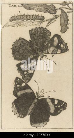 PRENT Middle and at the top right labeled: tab. IV. Pag: 26 Stock Photo ...
