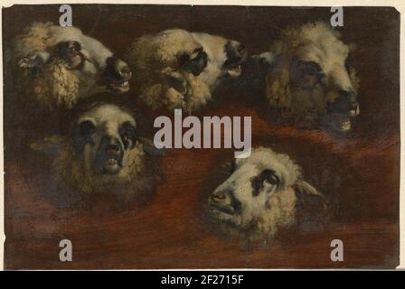 Study sheet with five sheep heads, Johannes Janson, 1761 - 1784 print ...