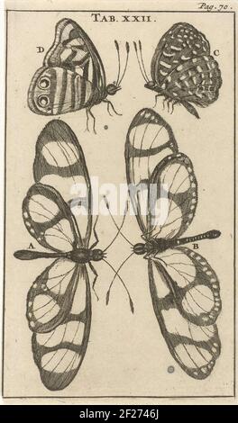 PRENT Middle and at the top right labeled: tab. XXI. Pag: 70 Stock ...