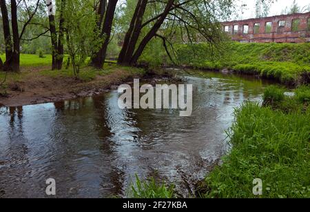 Travel on the silent forest river in the summer. Walk on river Stock ...