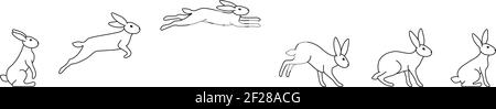 A set of rabbit jump phases. The hare is sitting, preparing to jump ...
