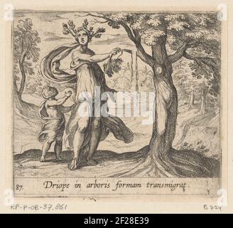Dryope changed to a lotus tree; DRIOPE in Arboris Formam Tranmigrat ...