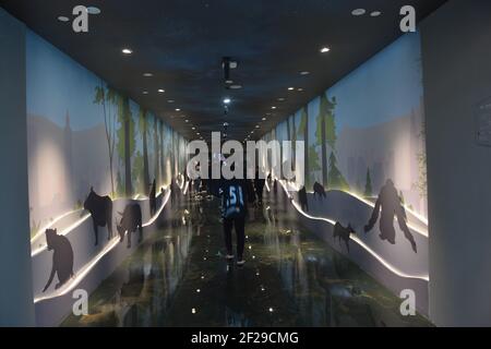 Photo shows the internal view of giant panda-themed museum in Chengdu ...