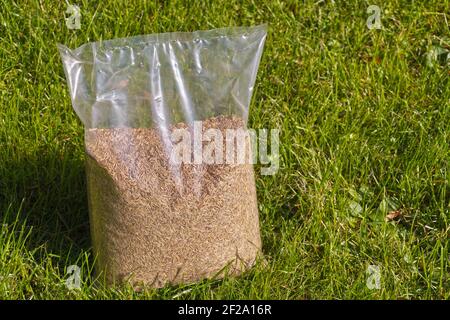 Sowing grass, setting up a lawn. Foil packaging with grass seeds Stock ...